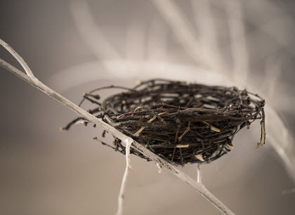 What Are Nesting Arrangements?